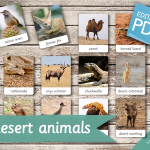 DESERT ANIMALS • 24 Editable Montessori Cards • Flash Cards ...