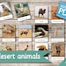 DESERT ANIMALS 24 Editable Montessori Cards Flash Cards Nomenclature ...