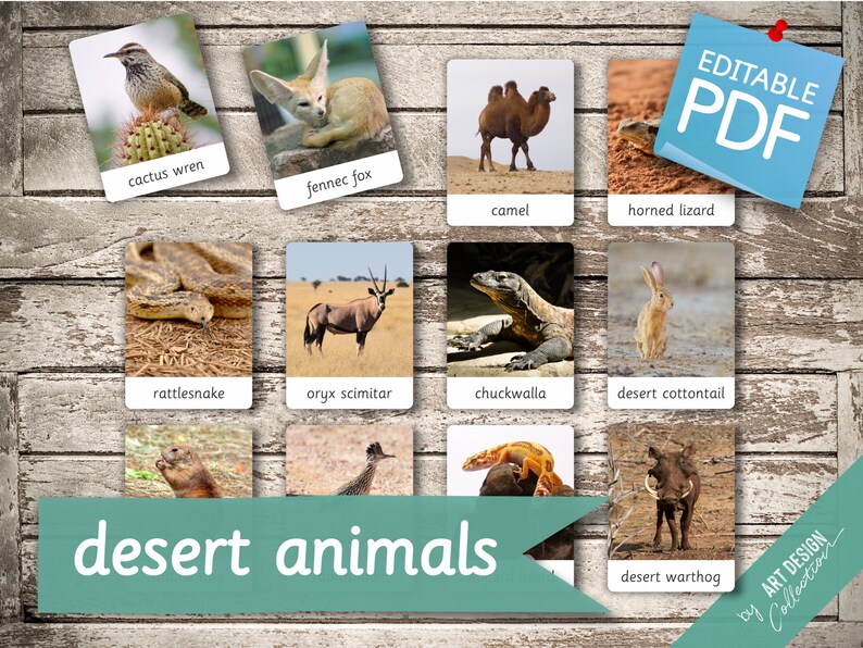 DESERT ANIMALS 24 Editable Montessori Cards Flash Cards - Etsy