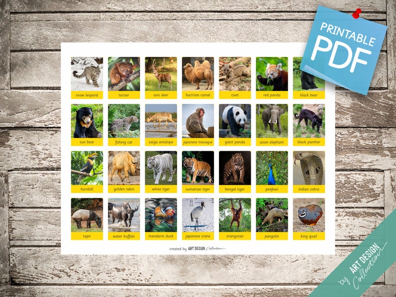 WORLD ANIMALS BOOK 7 Printable Cards 17 X 11 | Etsy