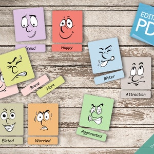 EMOTIONS • 24 Editable Montessori Flash Cards • PDF Printable Cards ...