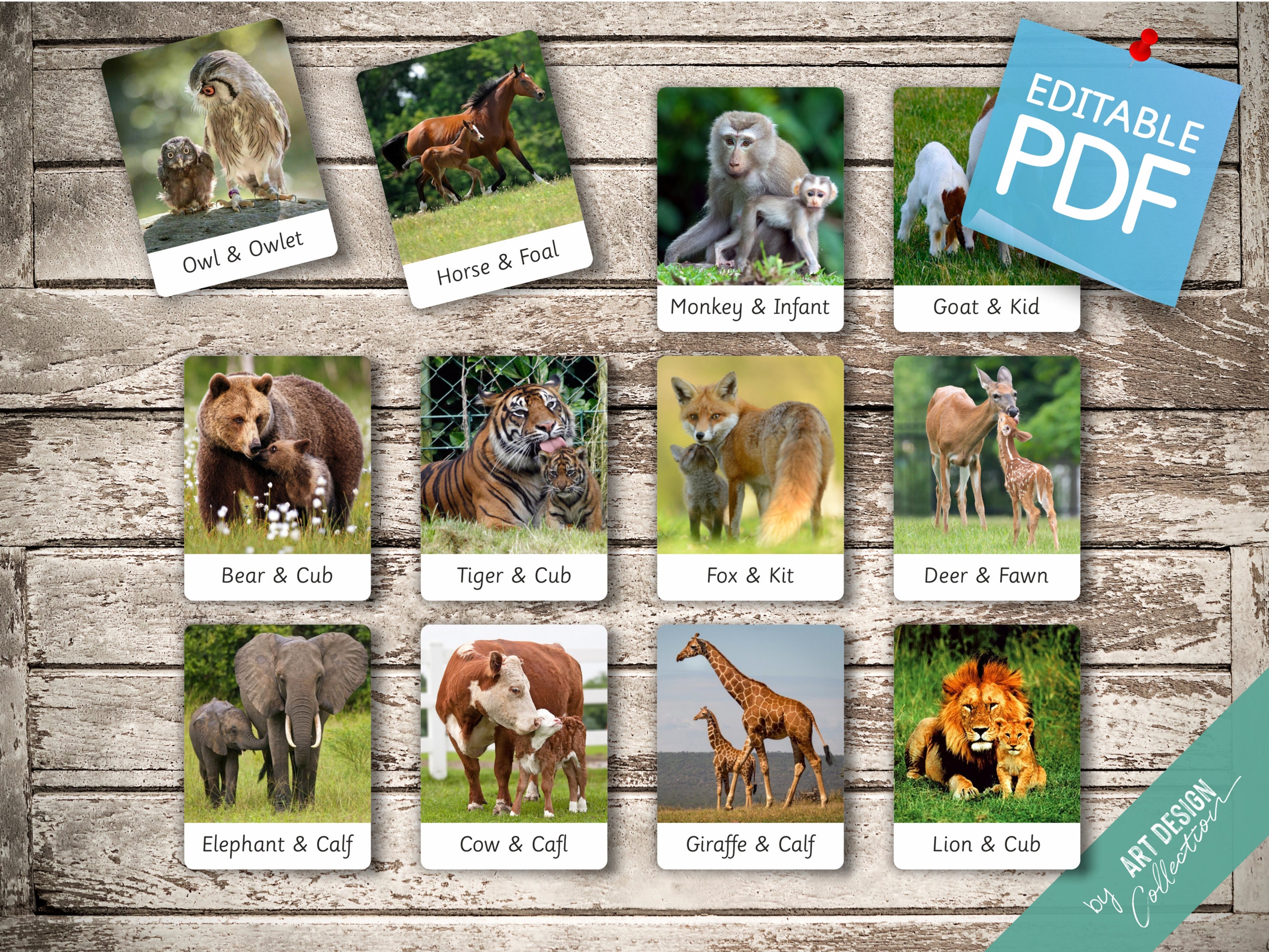 ANIMALS' BABIES 108 Editable Montessori Cards Flash | Etsy