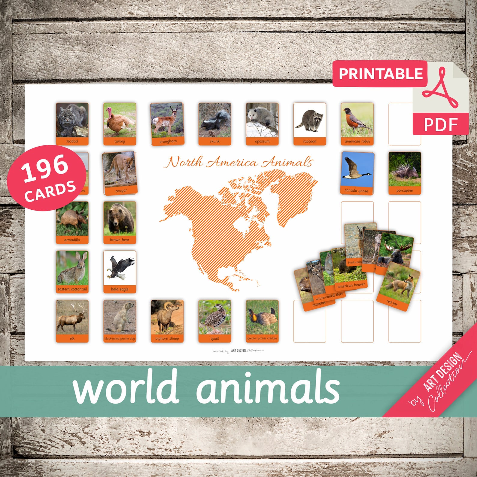 WORLD ANIMALS BOOK • 7 Printable Cards 17" X 11" • 196 Animals Cards ...