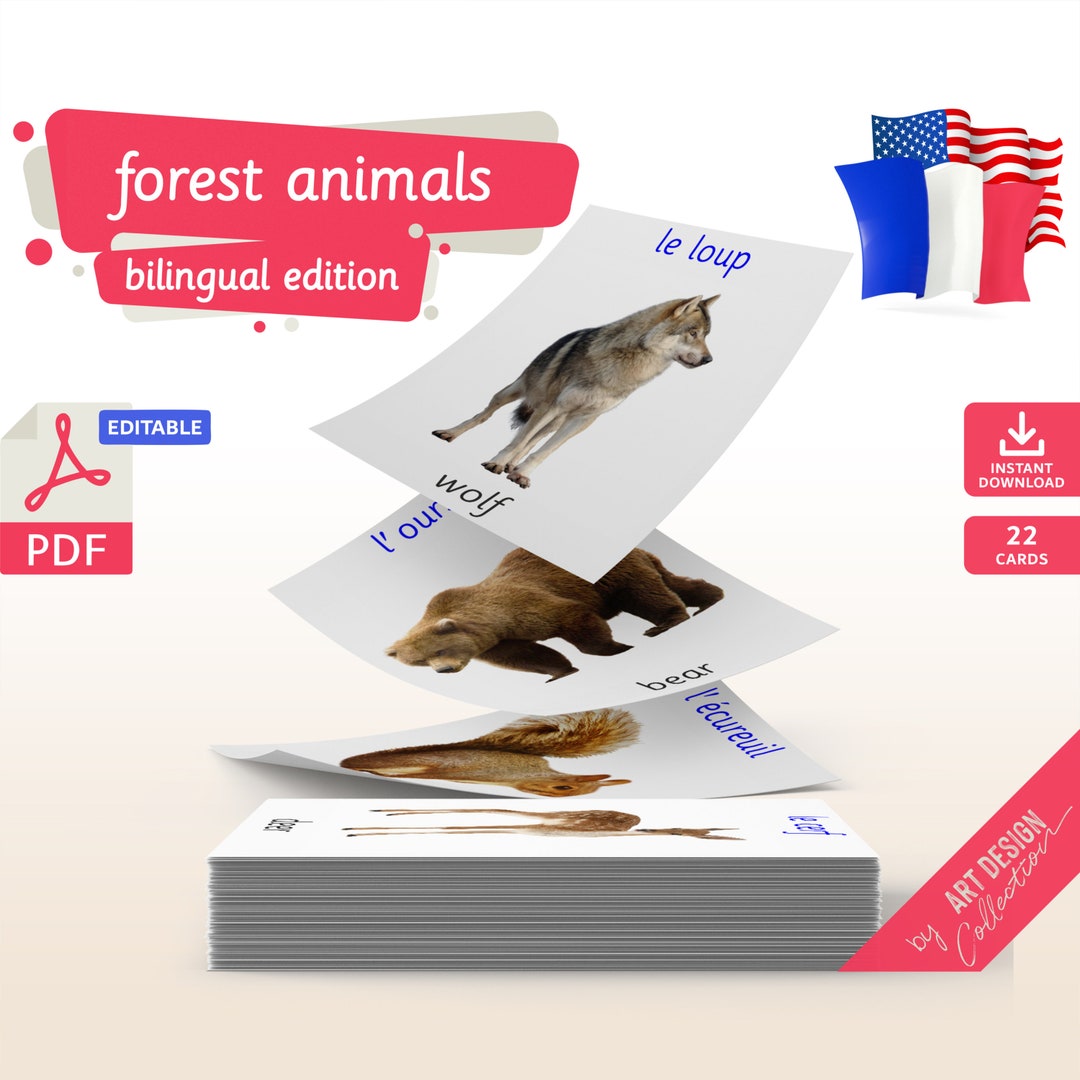FOREST ANIMALS BILINGUAL • 22 Editable Montessori Cards • Flash Card ...