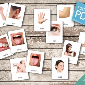 BODY PARTS (real Pictures) • 22 Montessori Cards • Flash Cards ...