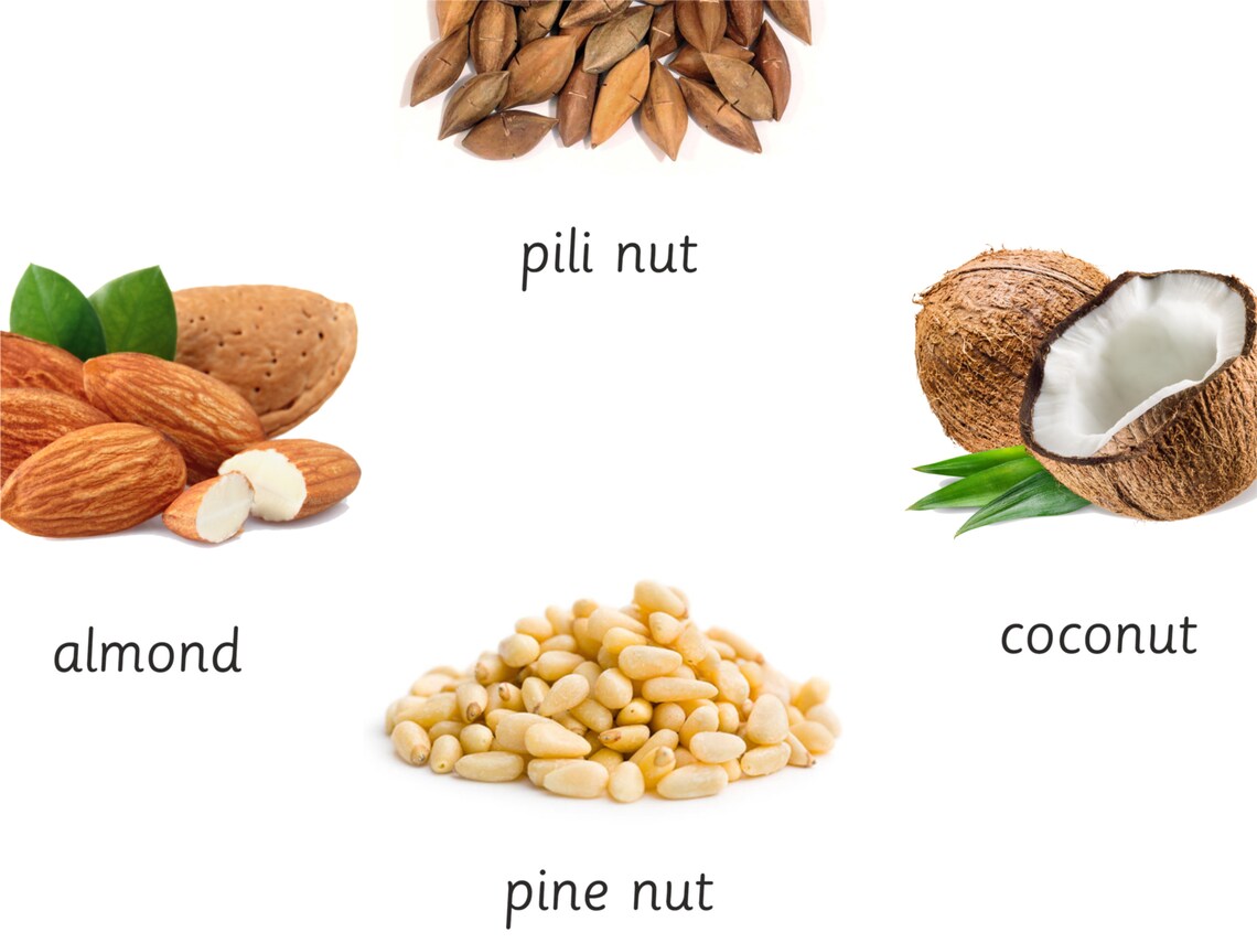 NUTS POSTER • Montessori Poster • Montessori Educational Homeschooling ...
