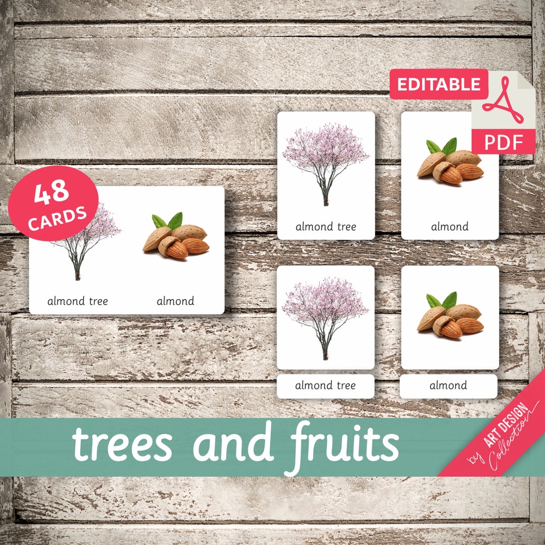 TREES AND FRUITS • 48 Montessori Cards • Flash Cards Nomenclature ...