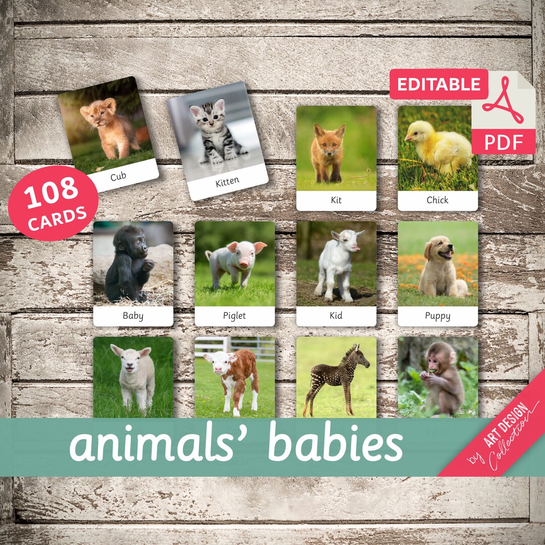 ANIMALS' BABIES • 108 Editable Montessori Cards • Flash Cards ...