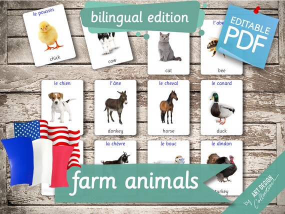 FARM ANIMALS BILINGUAL 22 Editable Montessori Cards Flash - Etsy