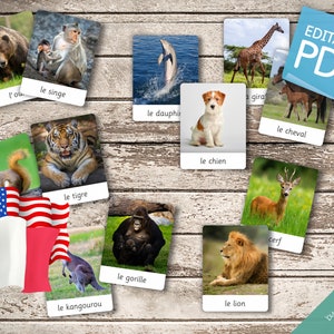 MAMMAL ANIMALS FRENCH Edition • 28 French and 28 English Editable ...