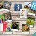 MAMMAL ANIMALS FRENCH Edition • 28 French and 28 English Editable ...
