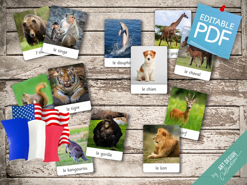 MAMMAL ANIMALS FRENCH Edition • 28 French and 28 English Editable ...