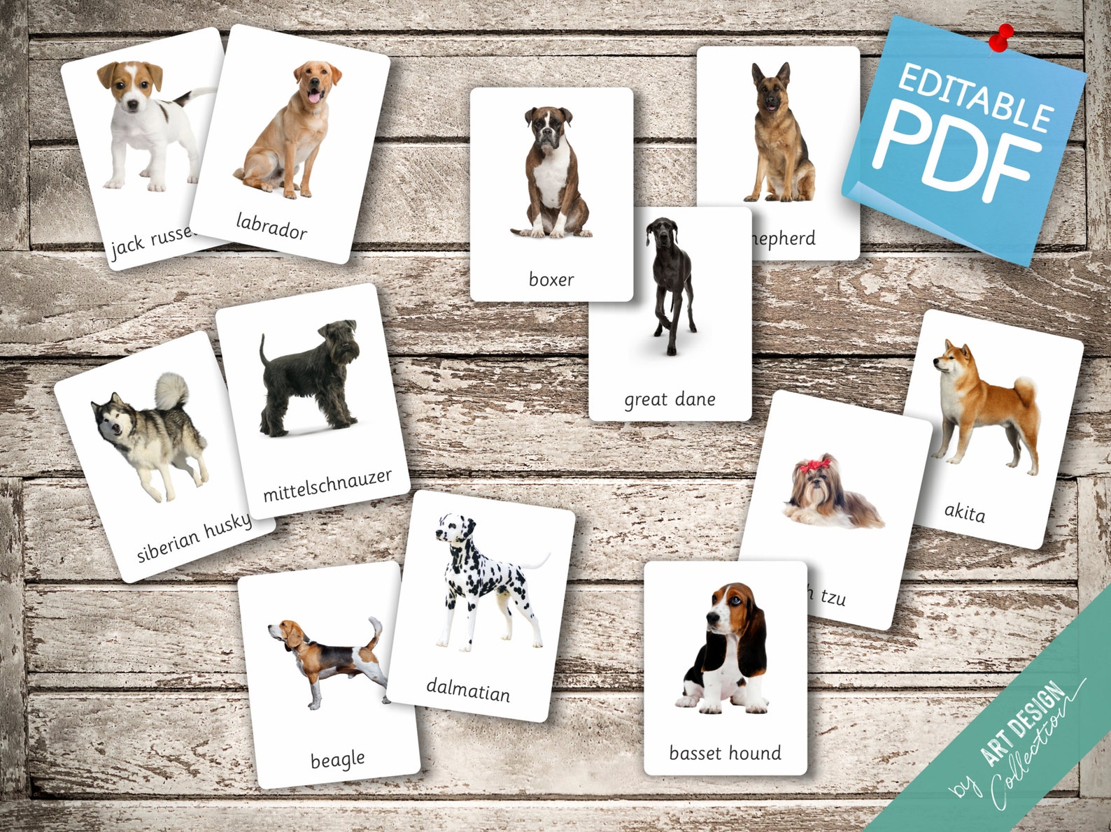 BREEDS OF DOG (real Pictures) • 27 Editable Montessori Cards • Flash ...