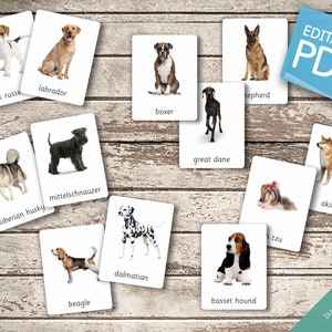 BREEDS OF DOG (real Pictures) • 27 Editable Montessori Cards • Flash ...