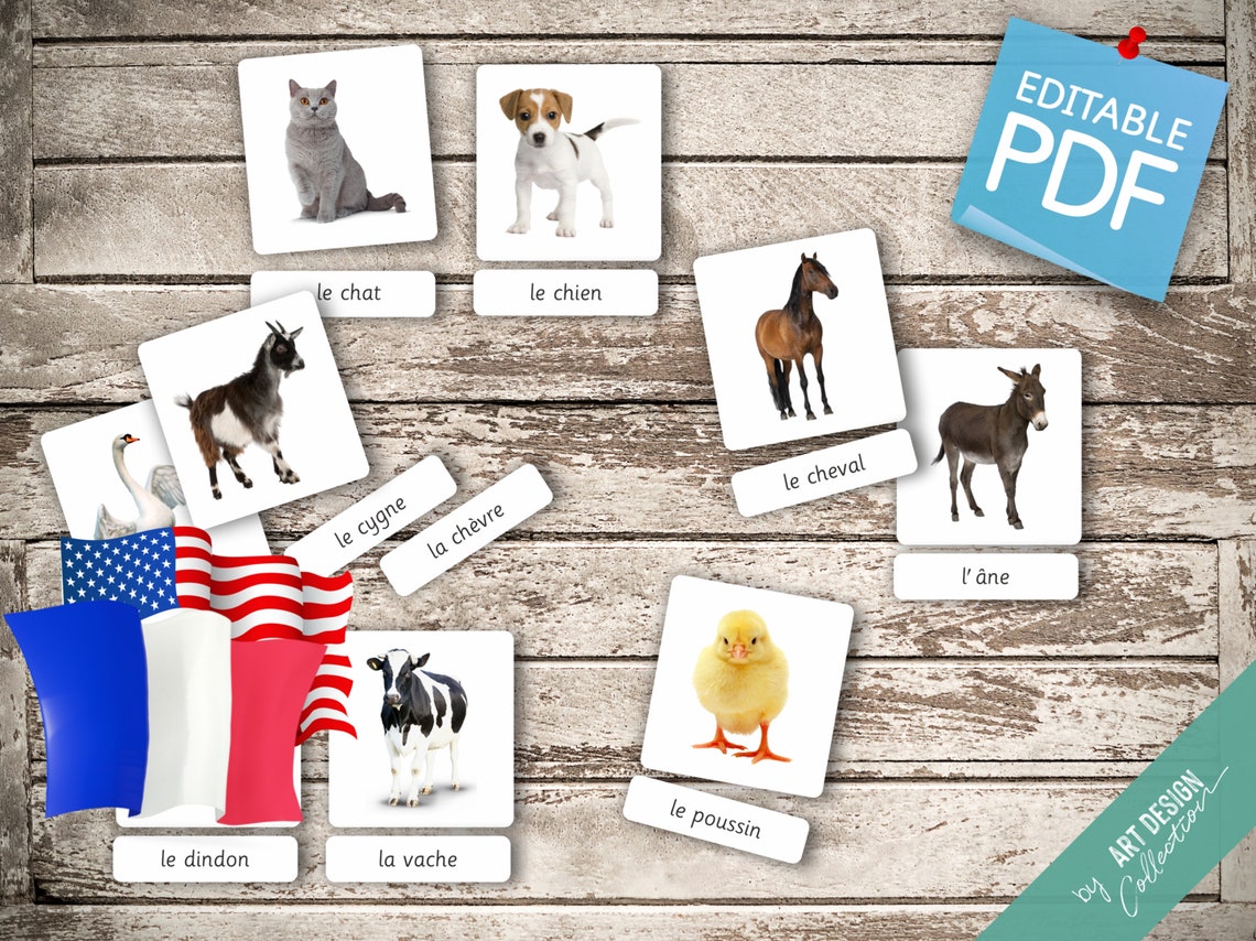 FARM ANIMALS FRENCH Edition • 22 French and 22 English Editable ...