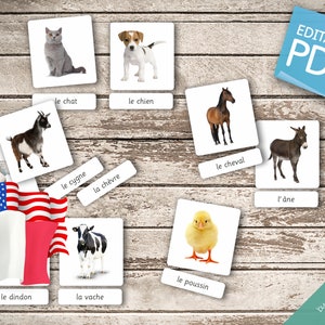 FARM ANIMALS FRENCH Edition • 22 French and 22 English Editable ...