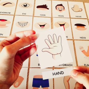 BODY PARTS • 24 Montessori Cards • Flash Cards Nomenclature Flashcards ...