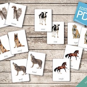 ANIMAL SOUNDS • 32+32 Editable Montessori Cards • Flash Cards ...