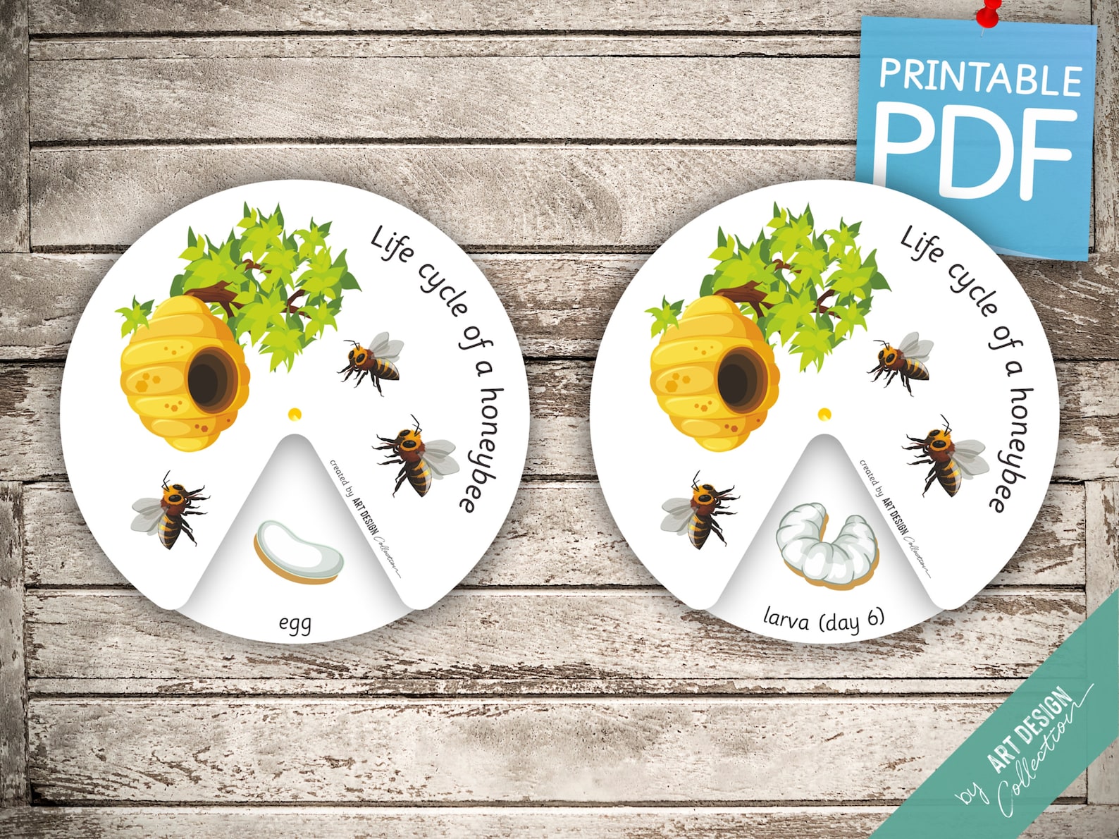 LIFE CYCLE of a HONEYBEE Wheel Montessori Busy Book Activity - Etsy