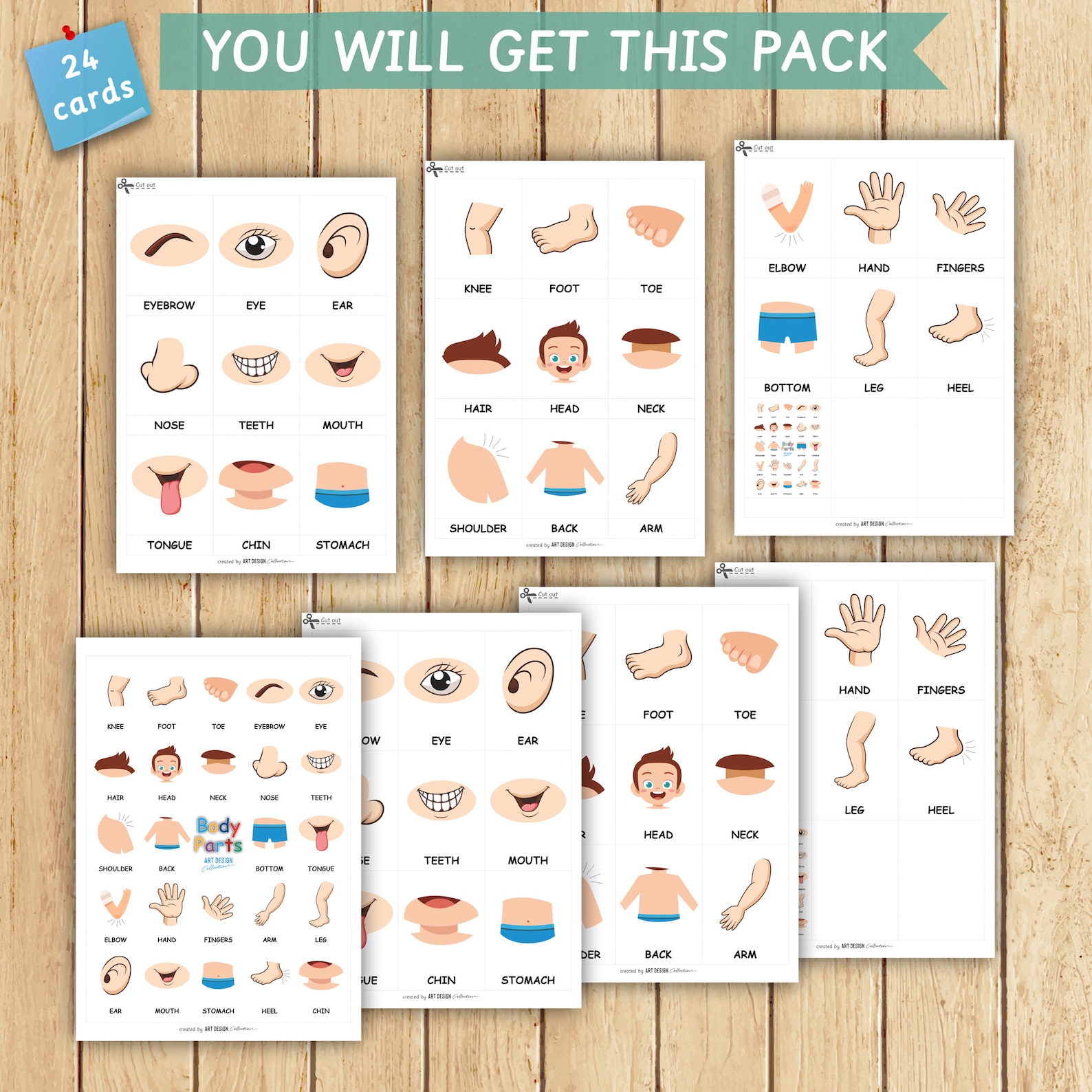 BODY PARTS • 24 Montessori Cards • Flash Cards Nomenclature Flashcards ...
