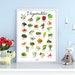 VEGETABLES POSTER • Montessori Poster • Montessori Educational ...