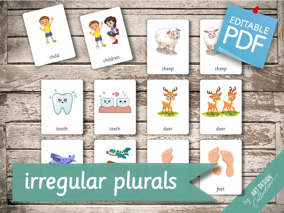 IRREGULAR PLURALS 54 Montessori Cards Flash Cards | Etsy