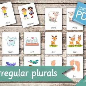 IRREGULAR PLURALS • 54 Montessori Cards • Flash Cards Nomenclature ...