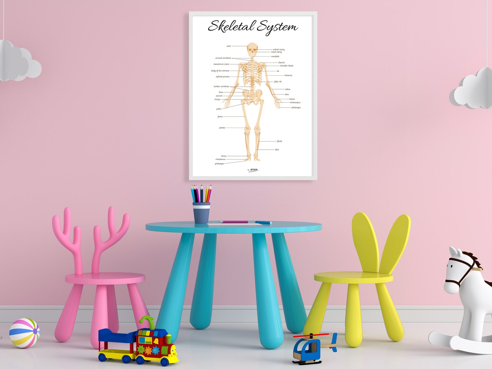 SKELETAL SYSTEM Montessori Poster Montessori Educational Homeschooling ...
