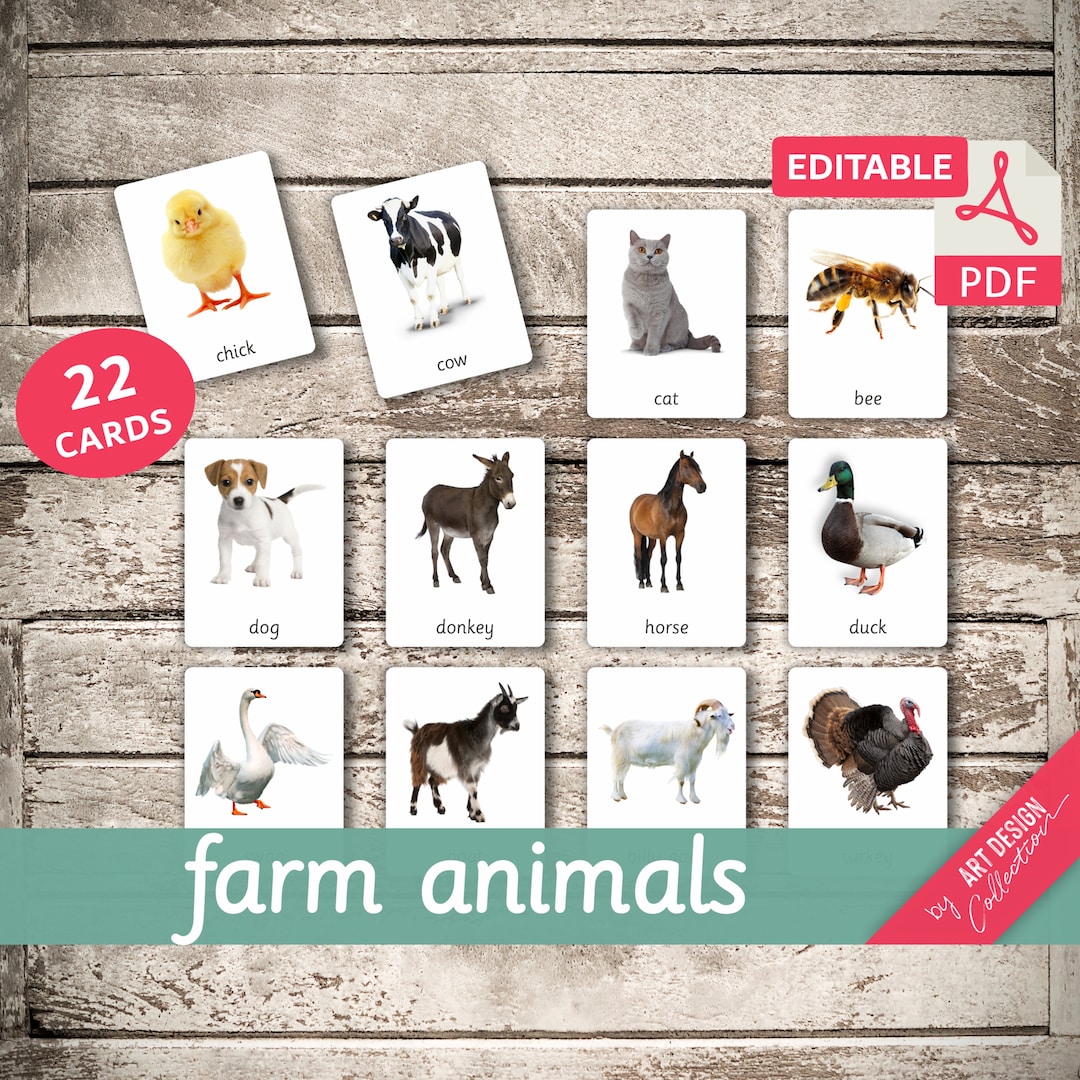 FARM ANIMALS • 22 Editable Montessori Cards • Flash Cards Nomenclature ...