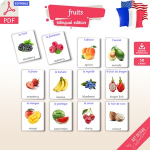 FRUITS (real Pictures) BILINGUAL • 50 Editable Montessori Cards Flash ...