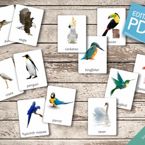 BIRDS (real Pictures) • 30 Montessori Cards • Flash Cards Nomenclature ...