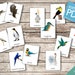 BIRDS real Pictures 30 Montessori Cards Flash Cards - Etsy