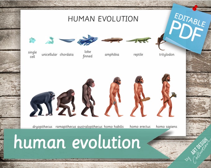 Evolution of Humankind Science Skulls of Ancestors Pen and Ink Giclee ...