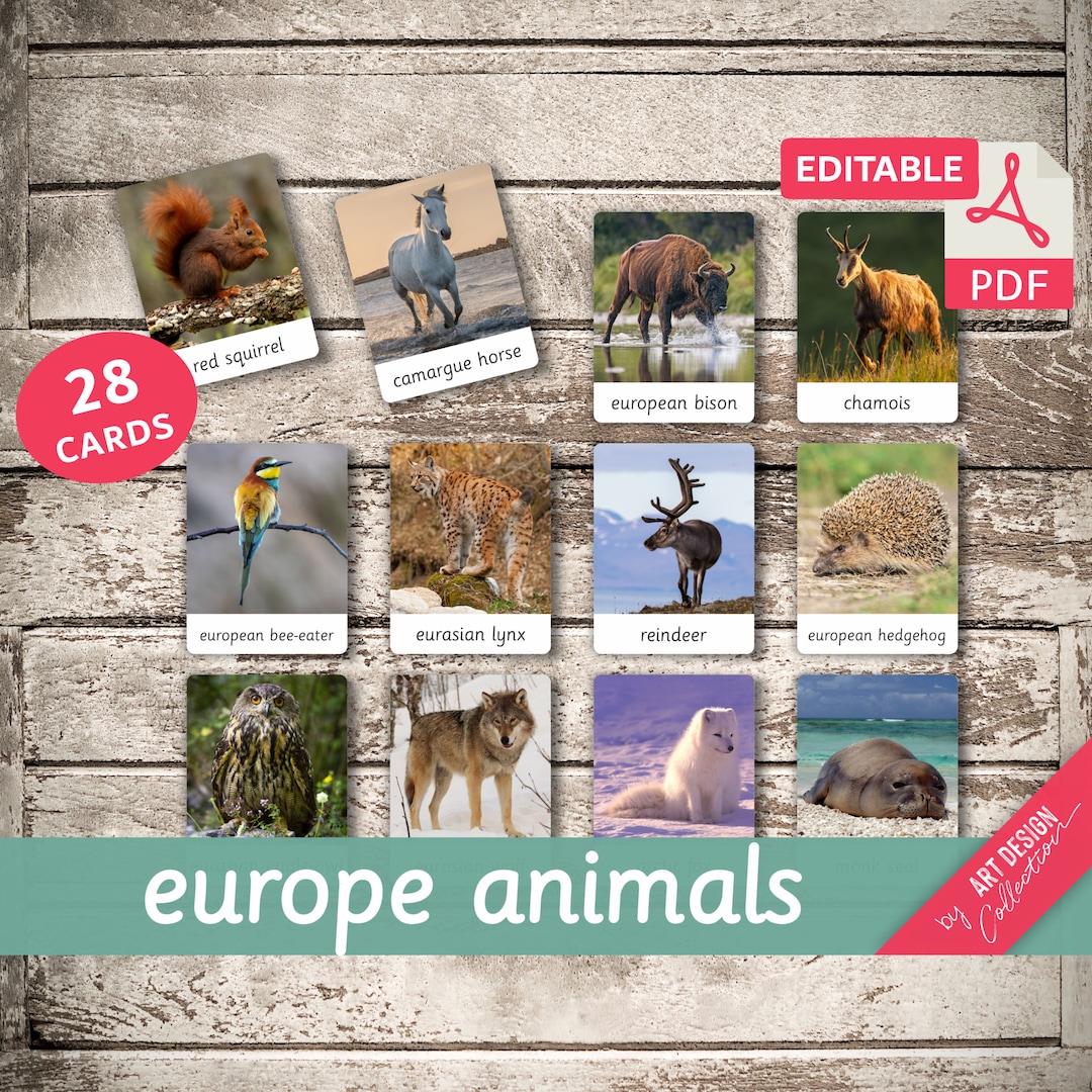 EUROPE ANIMALS • 28 Editable Montessori Cards • Flash Cards ...