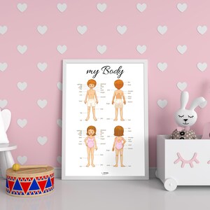 MY BODY POSTER • Montessori Poster • Montessori Educational ...