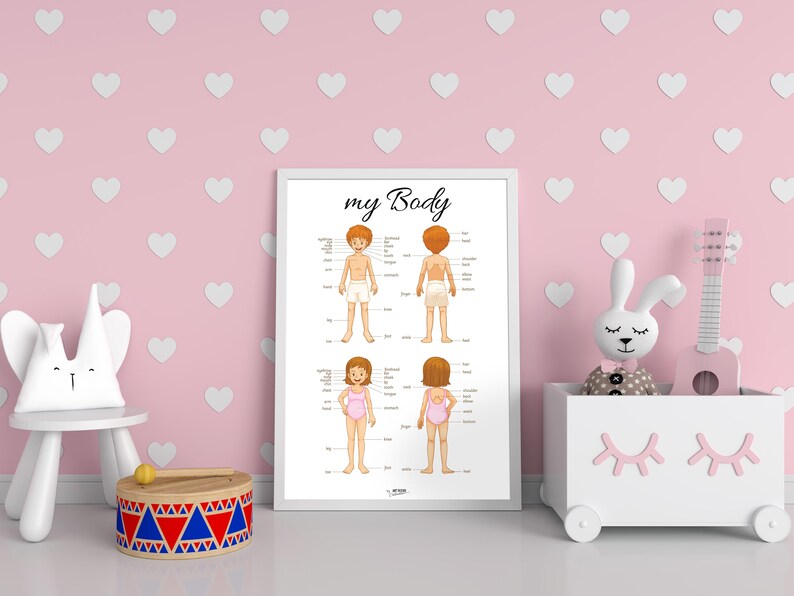 MY BODY POSTER Montessori Poster Montessori Educational - Etsy