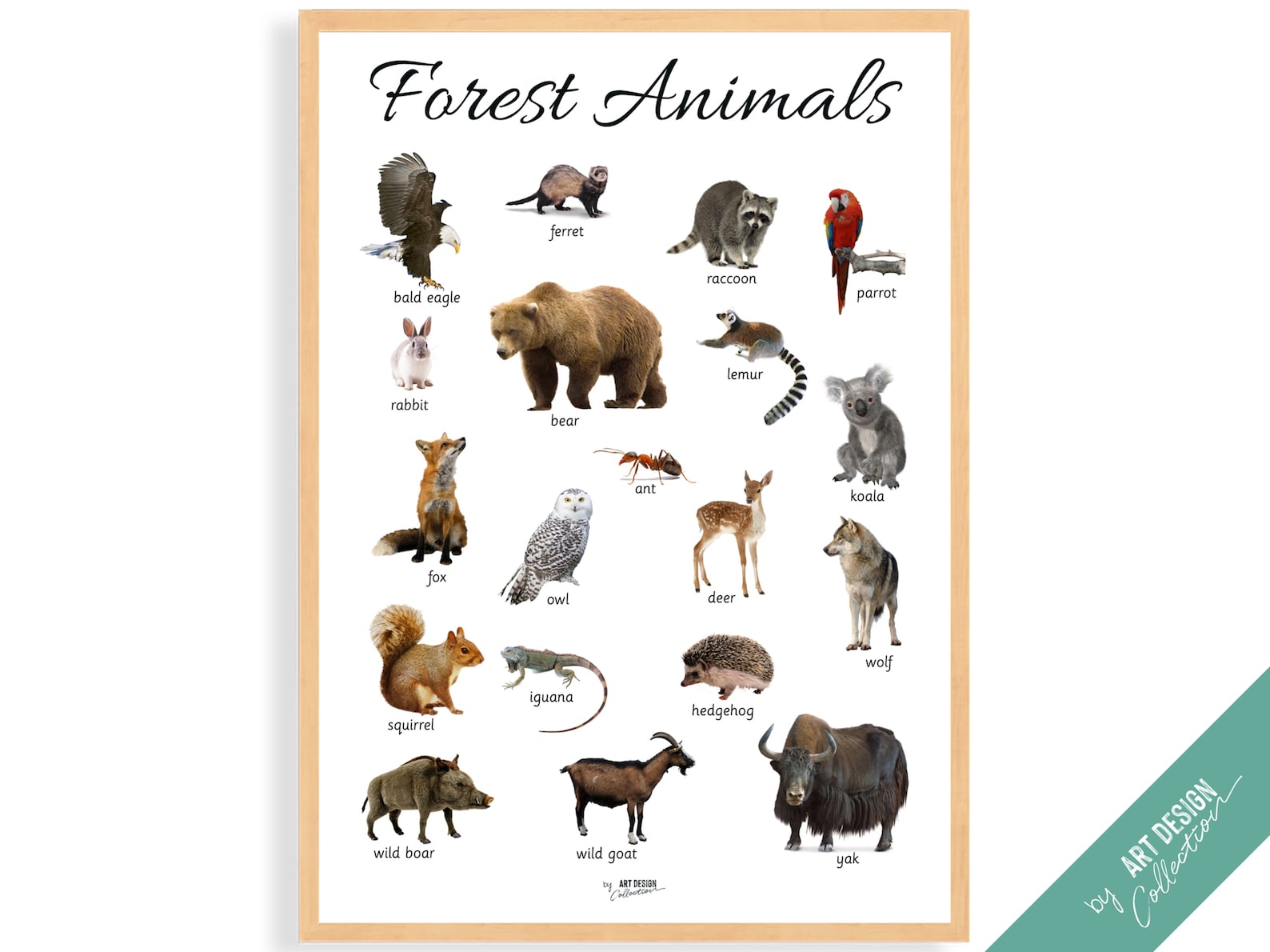 FOREST ANIMALS POSTER Montessori Poster Montessori - Etsy