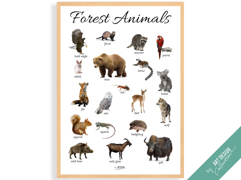 FOREST ANIMALS POSTER Montessori Poster Montessori - Etsy