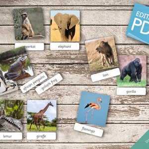 AFRICA ANIMALS • 28 Editable Montessori Cards • Flash Cards ...