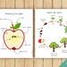 APPLE Busy Book Printable Preschool Activity Homeschool Resources ...