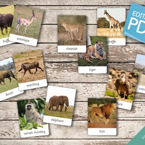 SAFARI ANIMALS • 36 Editable Montessori Cards • Flash Cards ...