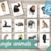 JUNGLE ANIMALS 22 Editable Montessori Cards Flash Cards | Etsy
