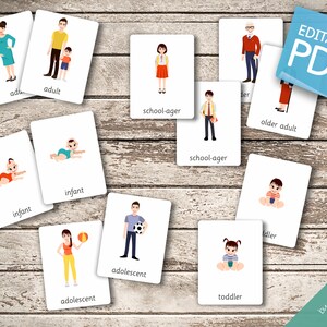 STAGES of HUMAN LIFE • 22 Montessori Cards • Flash Cards Nomenclature ...