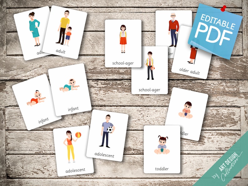 STAGES of HUMAN LIFE • 22 Montessori Cards • Flash Cards Nomenclature ...