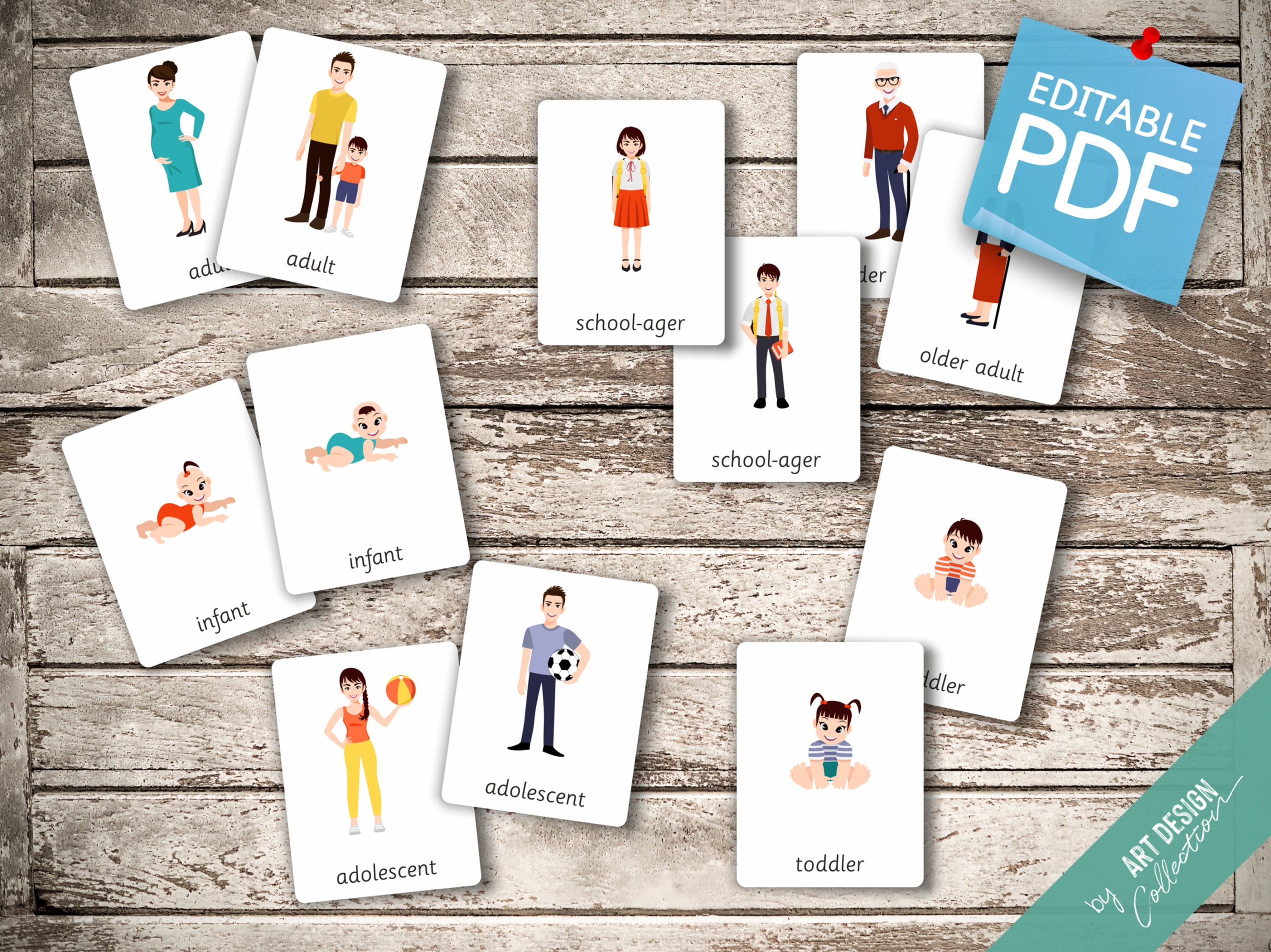 STAGES of HUMAN LIFE • 22 Montessori Cards • Flash Cards Nomenclature ...