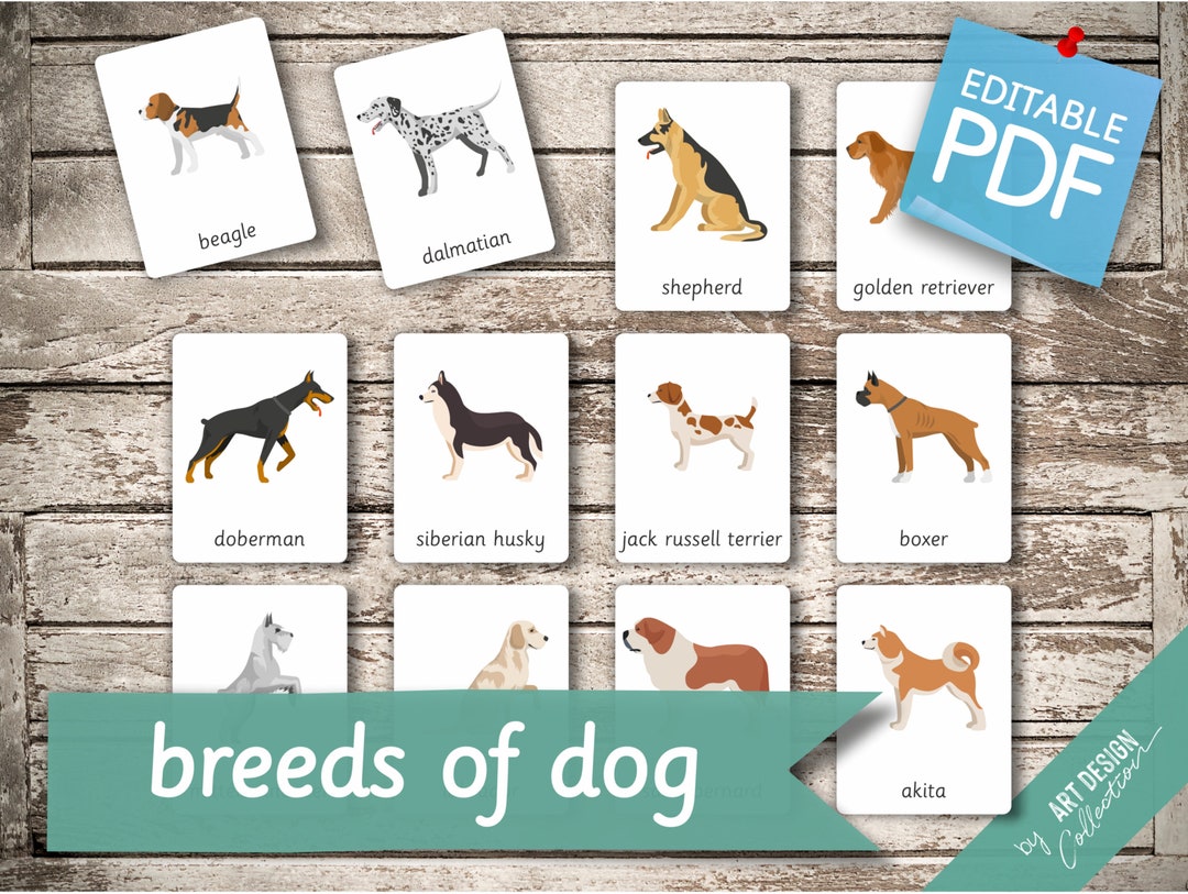 BREEDS OF DOG 26 Editable Montessori Cards Flash Cards Nomenclature ...