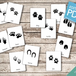 ANIMAL FOOTPRINTS • 50 Montessori Cards • Flash Cards Nomenclature ...