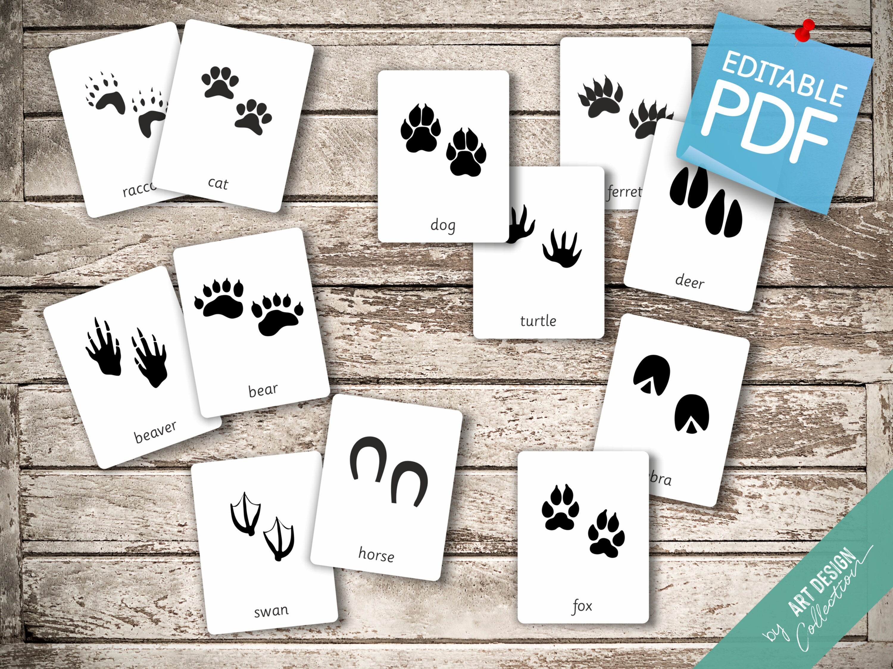 ANIMAL FOOTPRINTS 50 Montessori Cards Flash Cards - Etsy