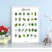 PLANT LEAVES POSTER Montessori Poster Montessori Educational ...
