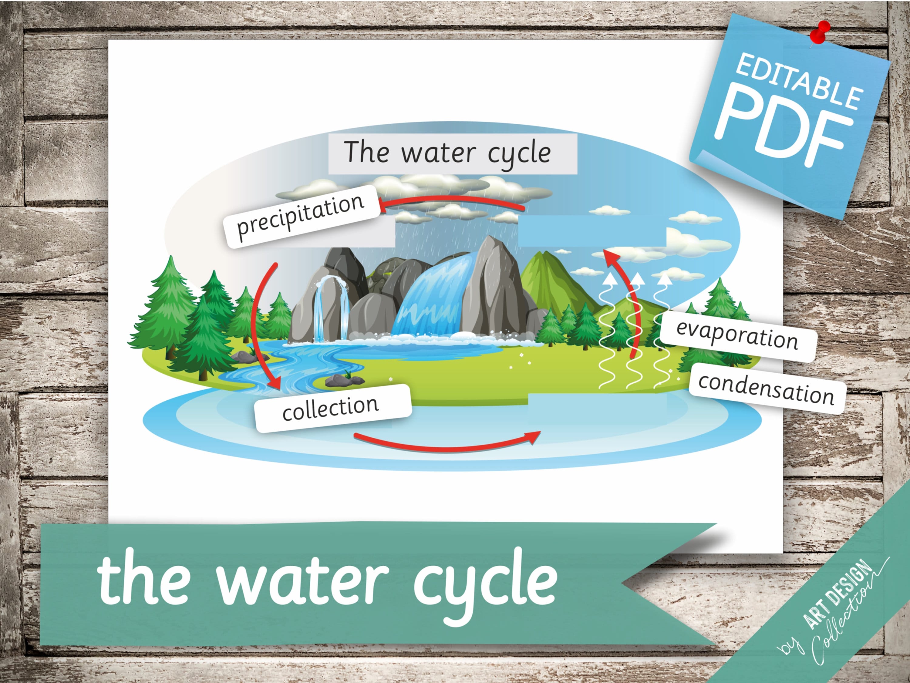 THE WATER CYCLE French Edition 4 French and 4 English - Etsy